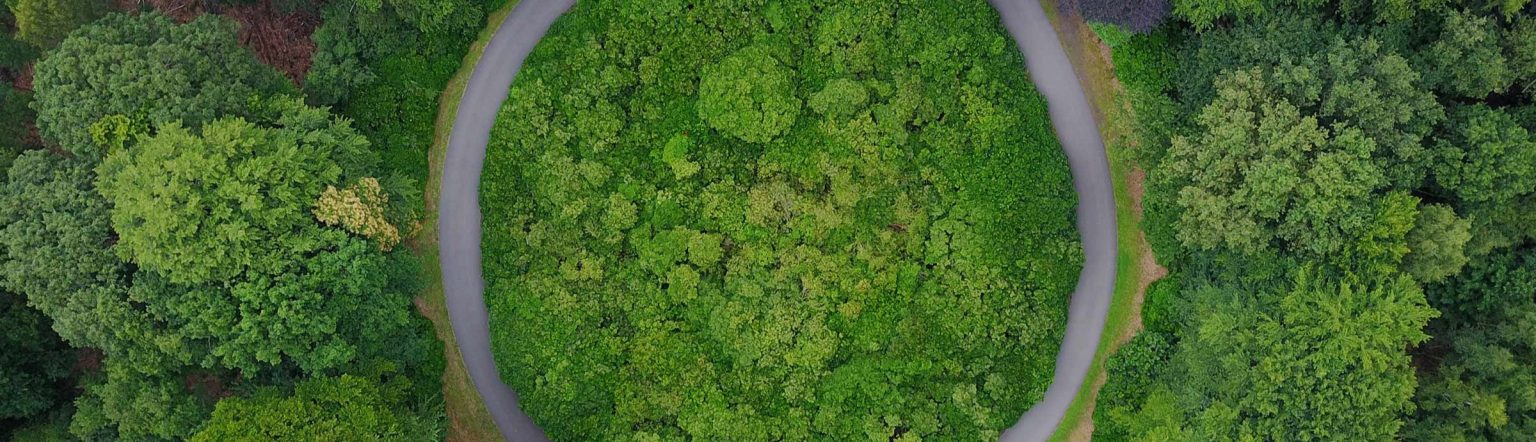 Telecom News & Articles | Blog | Carritech Telecommunications